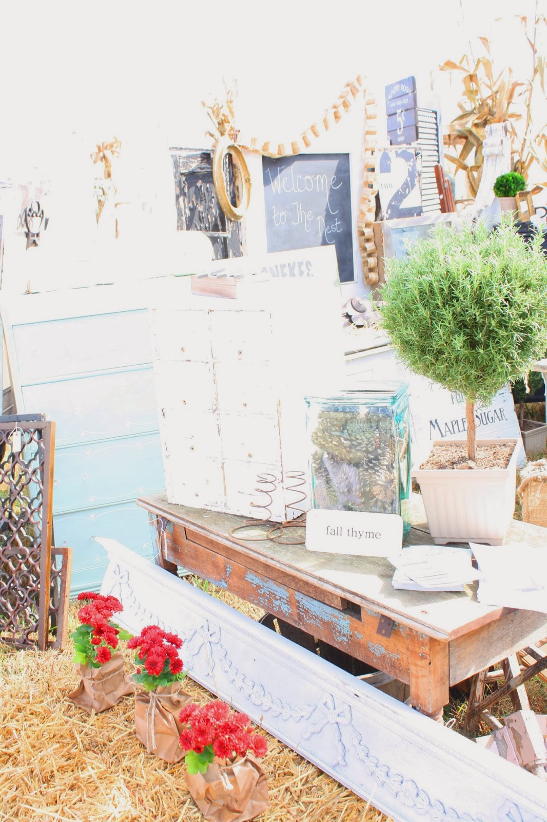 Coastal Charm: City Farmhouse Pop-Up Barn Show...Part 1