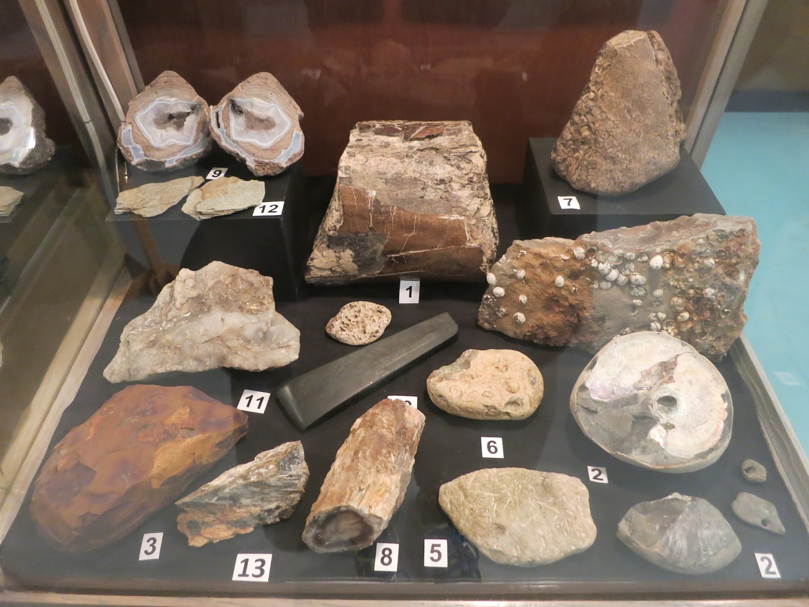 Peace River Museum, Archives and Mackenzie Centre: Local Rocks and ...