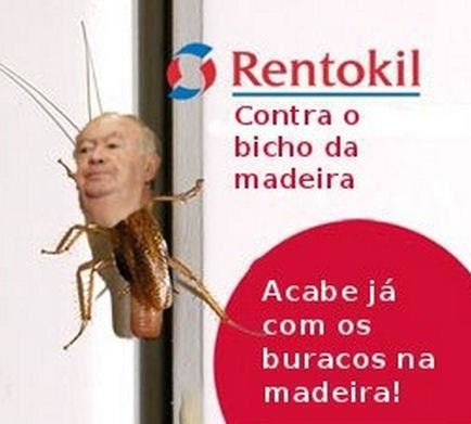 Ecos Imprevistos: O bicho da madeira...