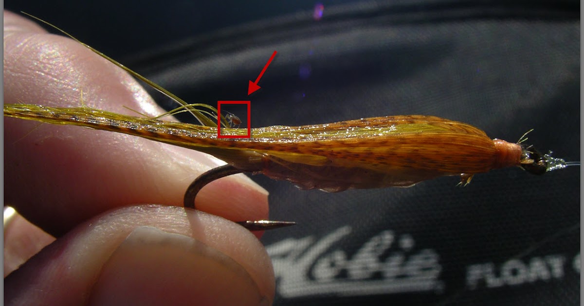 Fishing With Flies :: Blog: How small do bugs get?
