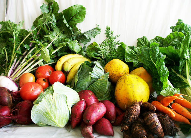 Lemon Living: 10 Ways to Increase Vegetable Intake