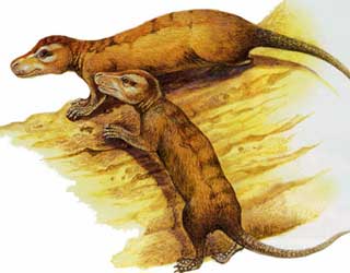 Manual del científico: ¿Quieres conocer la especie de la que provenimos ...