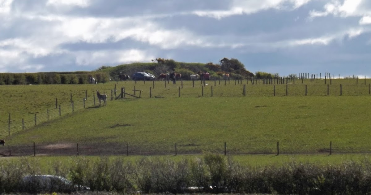The castles, towers and fortified buildings of Cumbria: Aldingham Motte ...