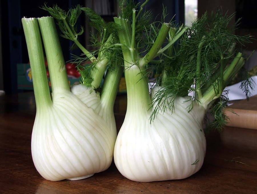 Cómo Cultivar Espinacas En Maceta Plantas