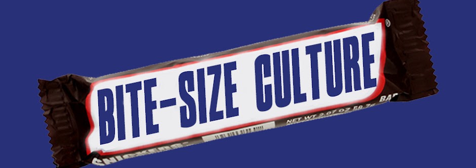 Bite-Size Culture: Retrospective: My So-Called Life