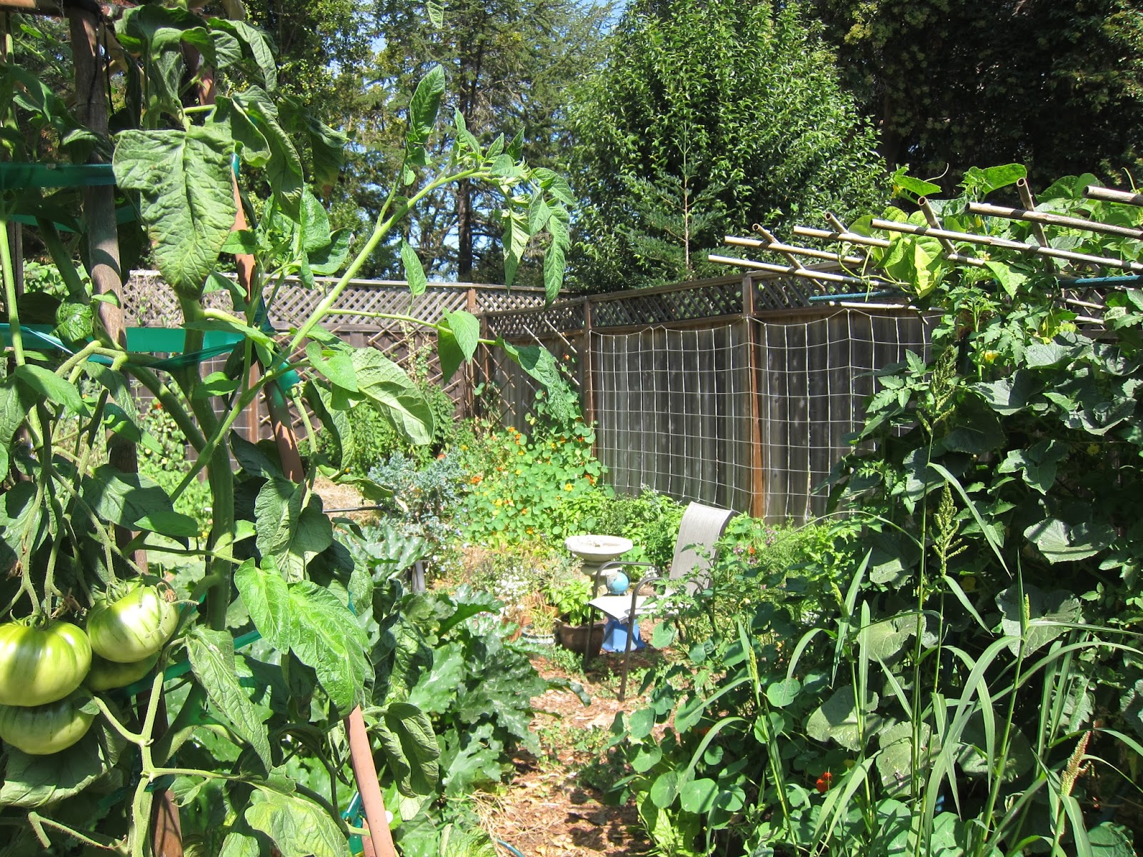 BB's Bountiful Backyard