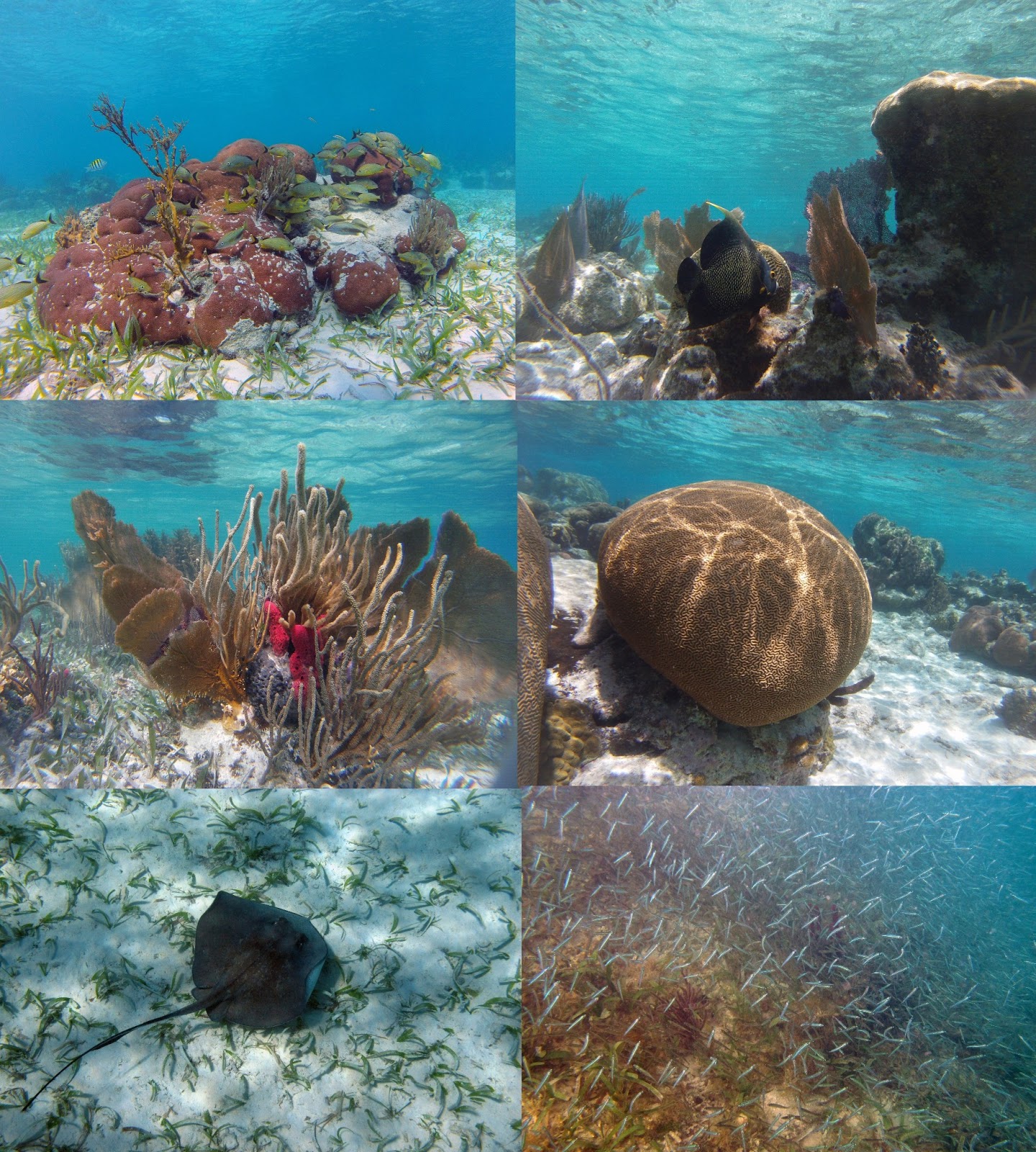 Travelling: SAILING BELIZE BARRIER REEF