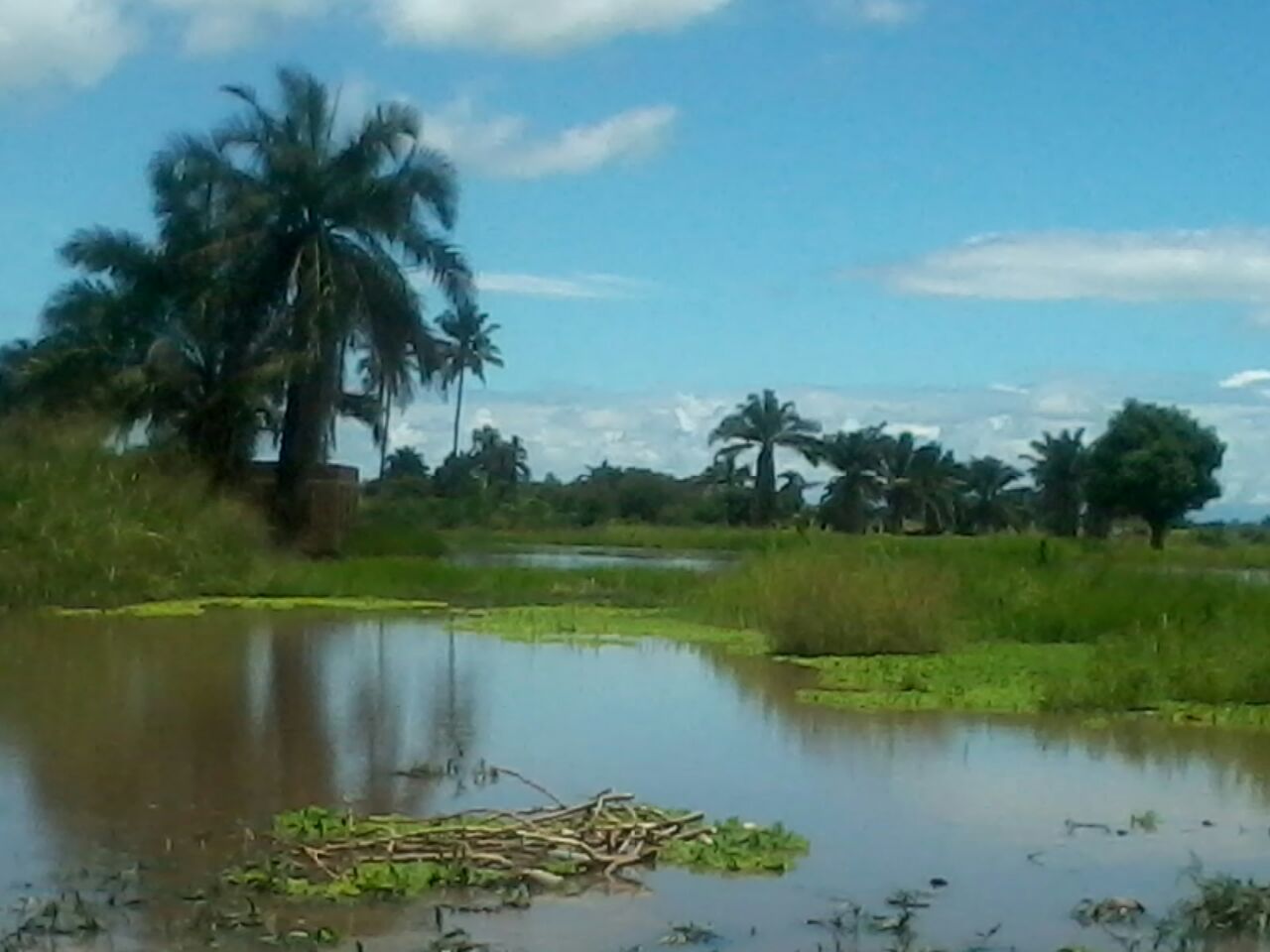 TAZAMA PICHA ZA MAFURIKO IFAKARA,MOROGORO - Madibadc
