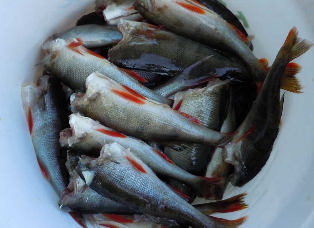 liisamarja's: smoked perch