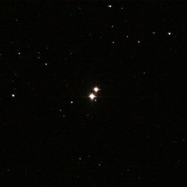 Astronomia: Cygnus ( Cisne )