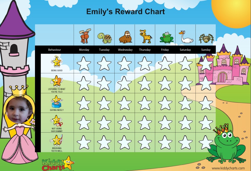 Best Plastic Surgeon In Chicago Reward Charts best-plastic-surgeon-in-chicago-reward-charts