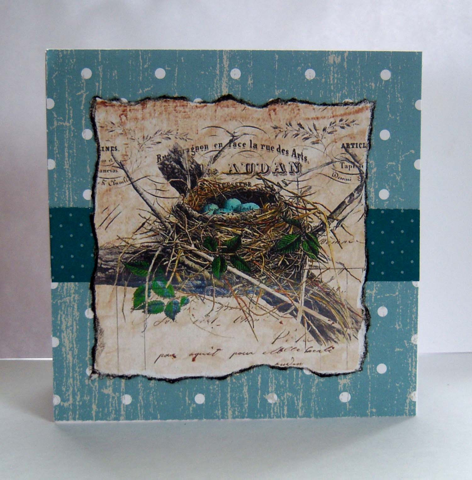 Shoregirl's Creations: Birds Nest Freebie