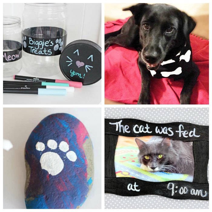 Pet Activities for Kids with a FREE Printable Activity Guide | Sunny ...