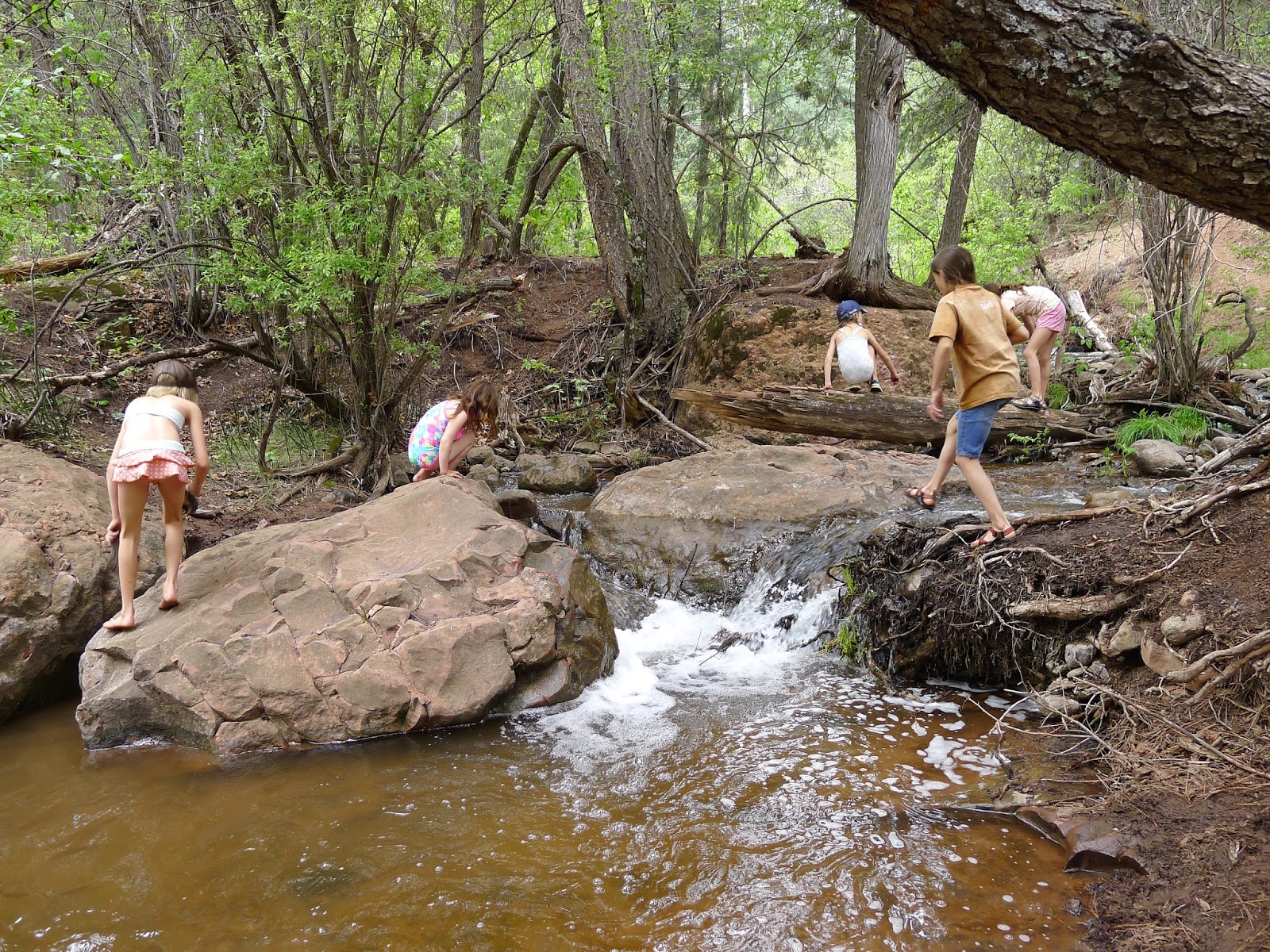 Valley Camp Durango: Photos
