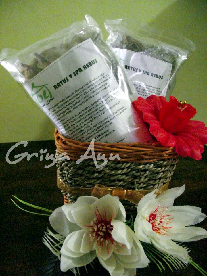 Griya Ayu Beauty Shop : Tips dan Manfaat Perawatan Ratus V