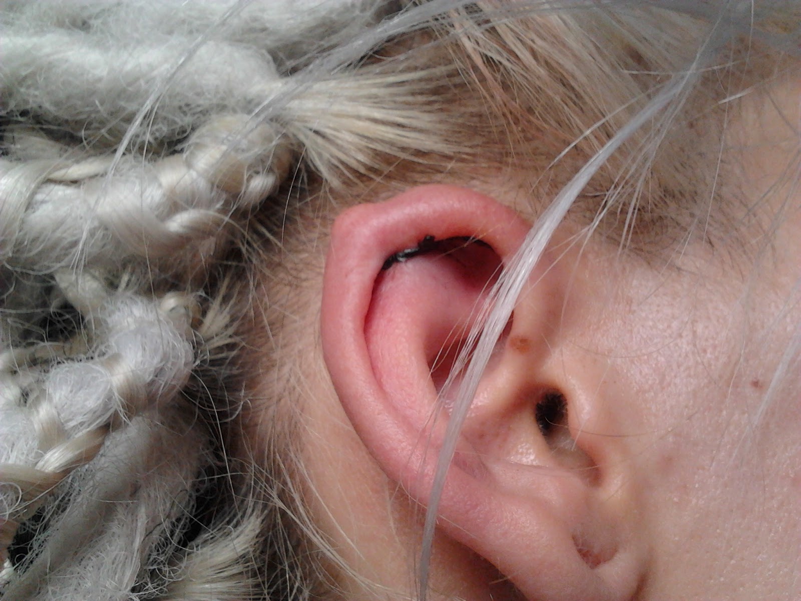 Other Day - Other Elves - a blog about ear pointing