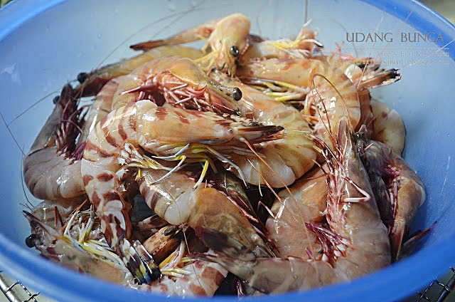 Jom Berkenalan dengan Udang - Amie's Little Kitchen
