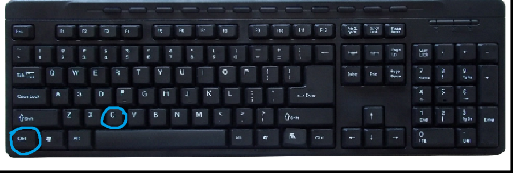 eTurabian - Citation Guide : Insert Footnote Onto Your School Paper ...