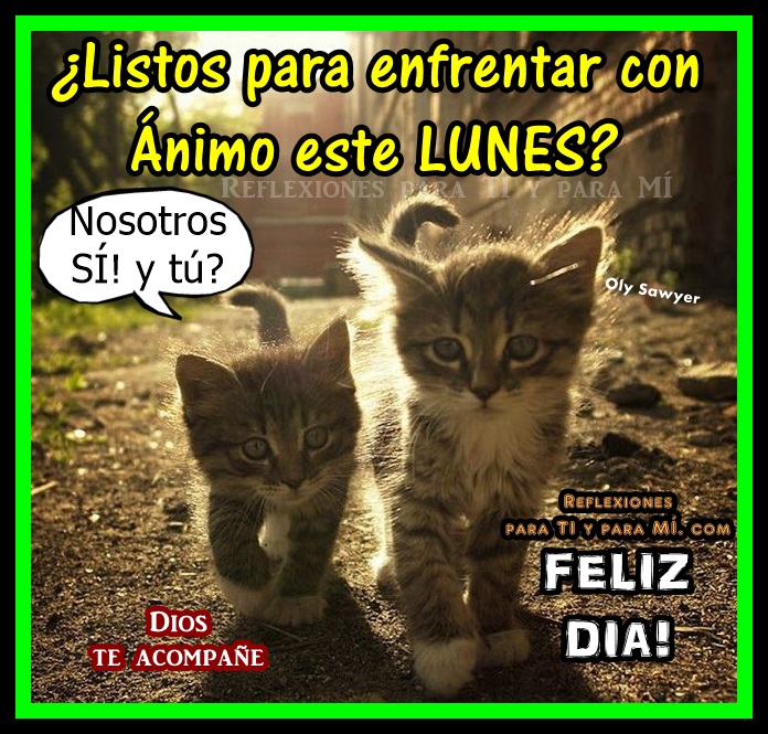 Buenos Deseos para TI y para MÍ: * ¿Listos para enfrentar con Ánimo ...