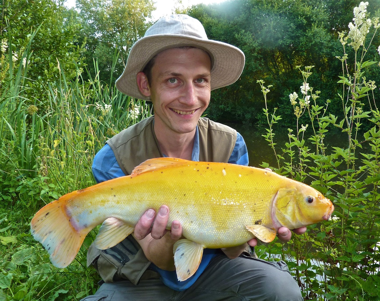 HUGH MILES - WILDLIFE ADVENTURES: HOT FAVOURITES