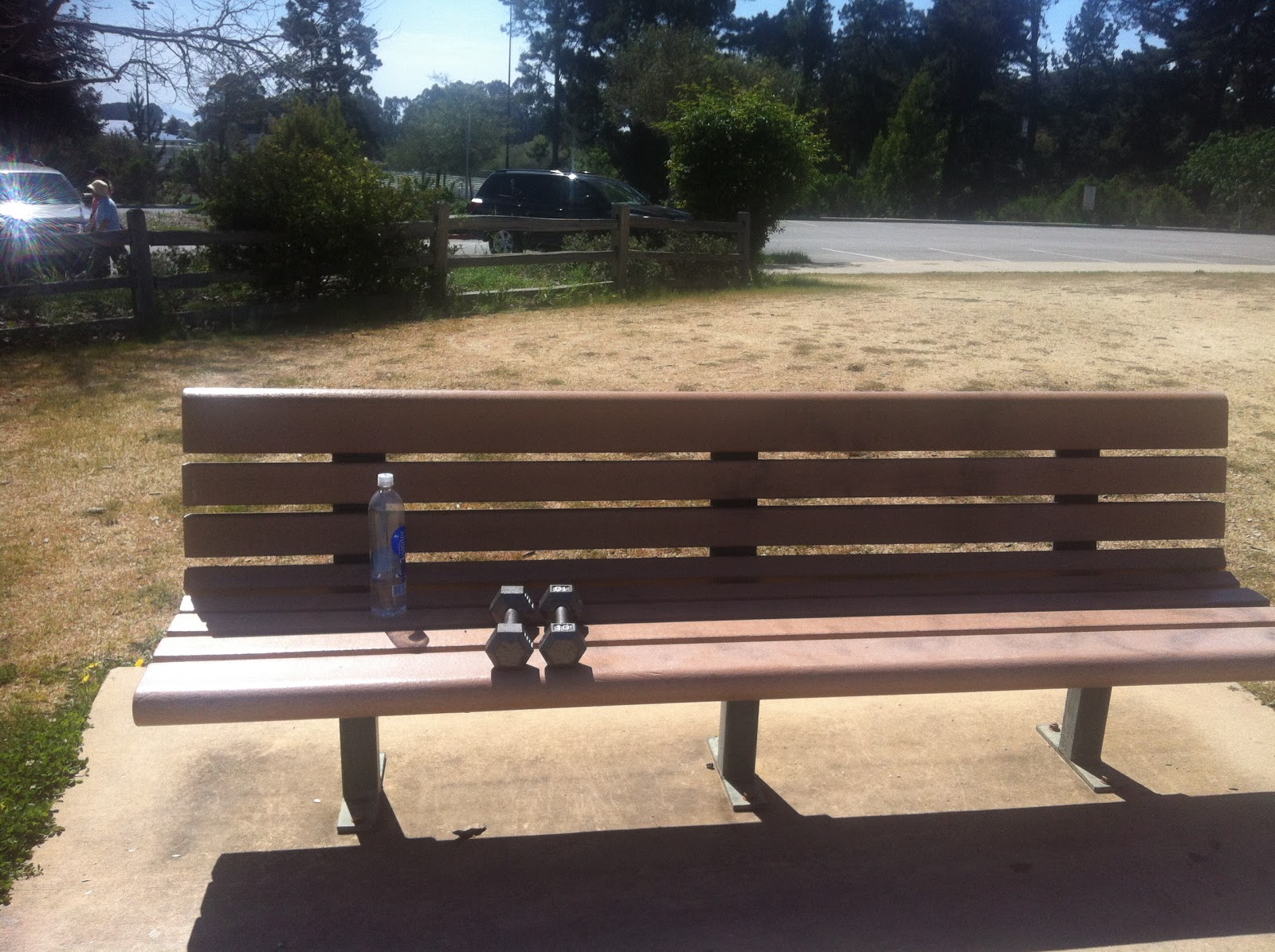 Fit Foodie: Yesterday's Park Bench Workout!