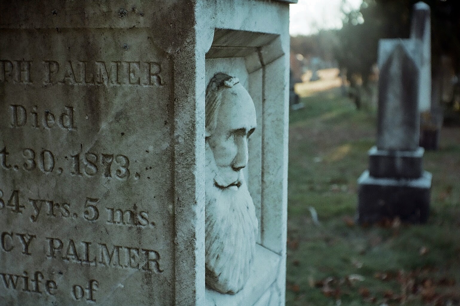 Meridianos: Joseph Palmer, perseguido por llevar barba