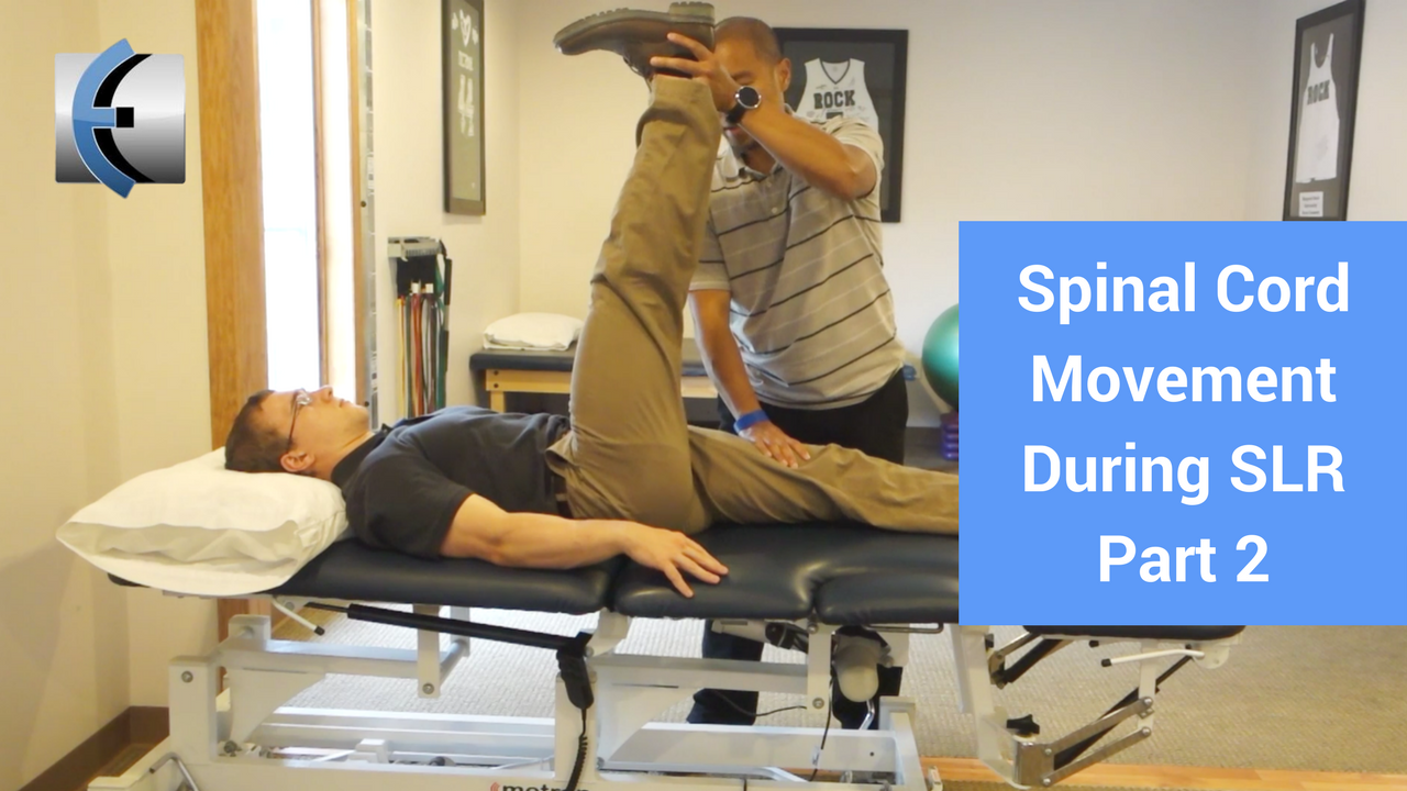 Spinal Cord Movement During SLR Part 2 | Modern Manual Therapy Insiders ...