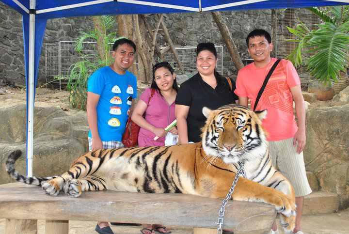 Hit the Road - The Lakwatsero Chronicles: Baluarte Zoo ni Chavit Singson