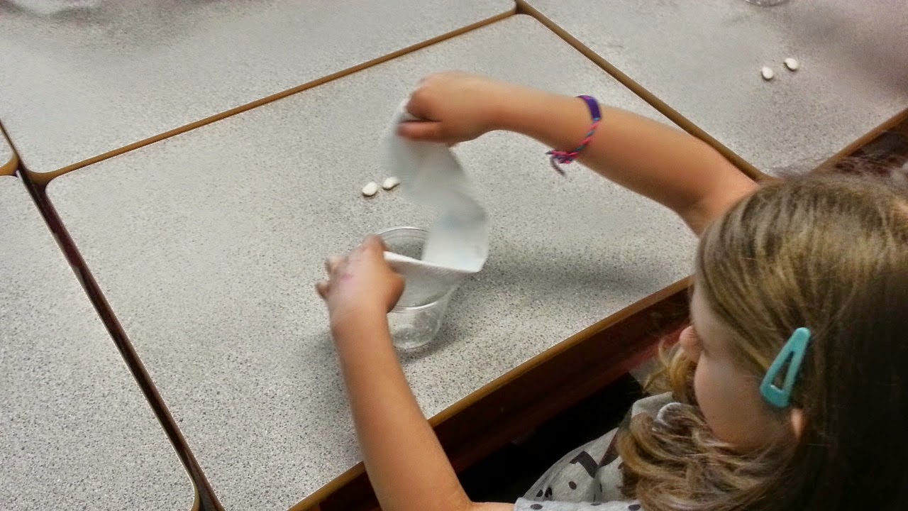 3 Plant Activities And A Simple Experiment To Teach The Plant Life Cycle