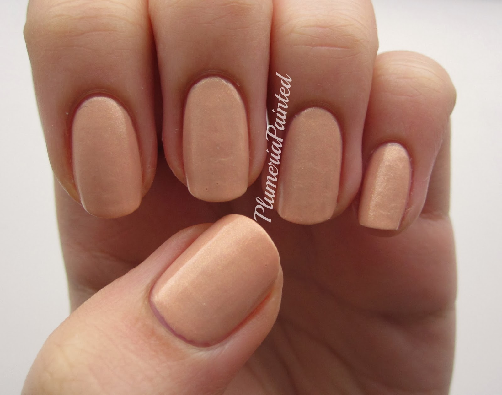 PlumeriaPainted: February 2014