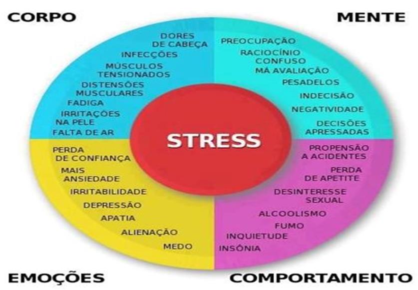 Sandra Lage: Estresse: tipos, teste, consequências, tratamentos