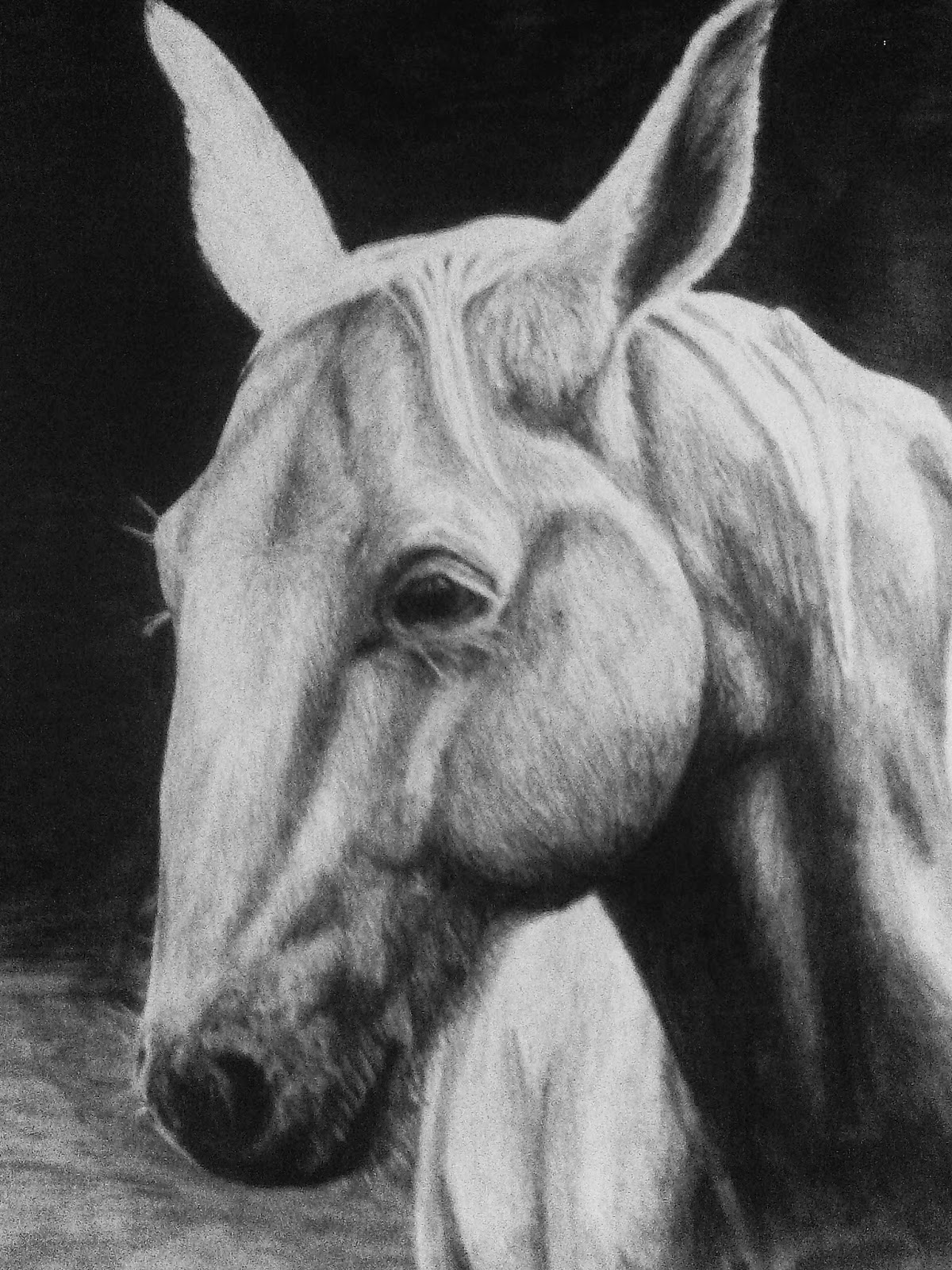 Art By Gareth Dalton Animals art-by-gareth-dalton-animals