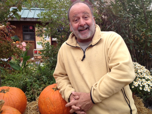 Shaw Living: Interview with Frank Asher, Owner of OLD CITY green