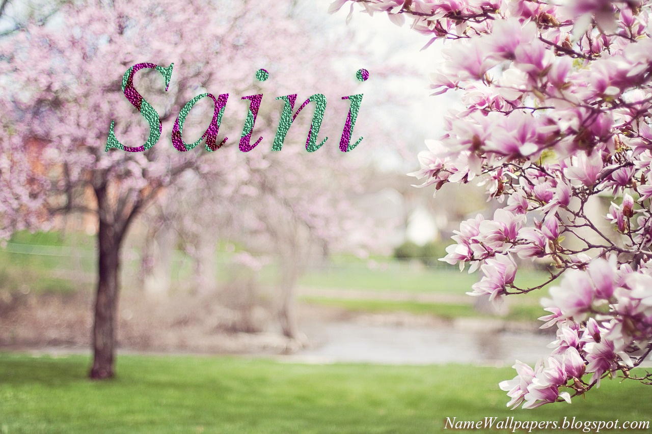 Saini Name Wallpapers Saini ~ Name Wallpaper Urdu Name Meaning Name ...