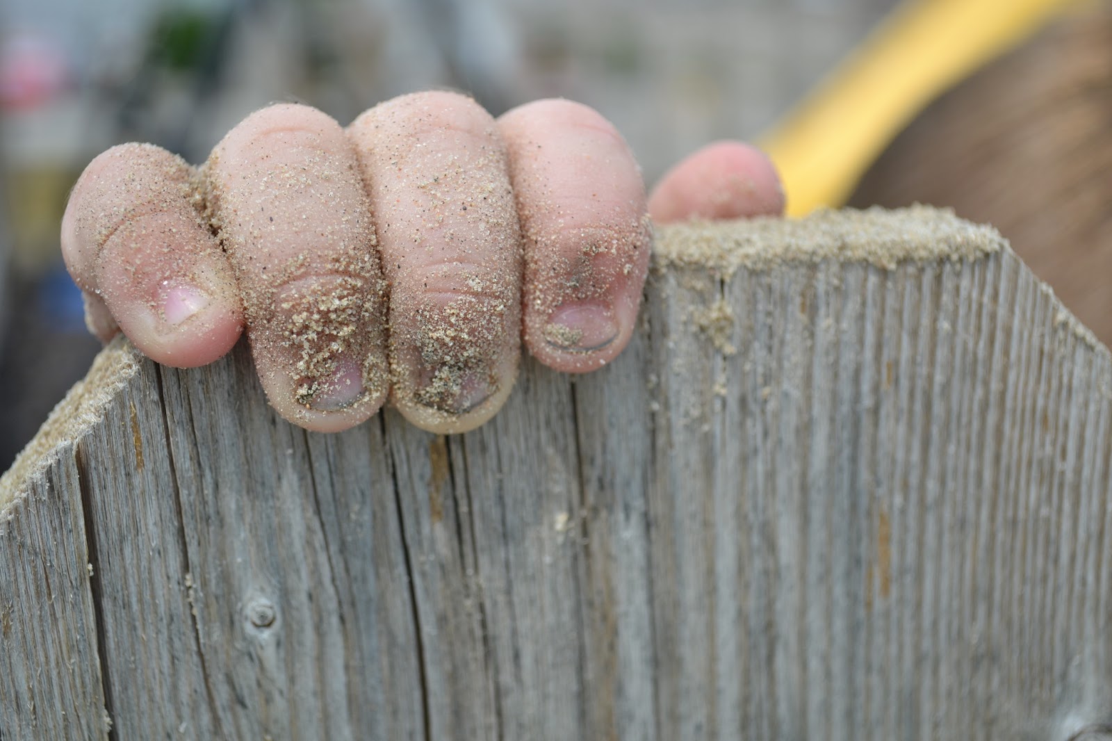 The Baker Bustle: Happy Birthday America!