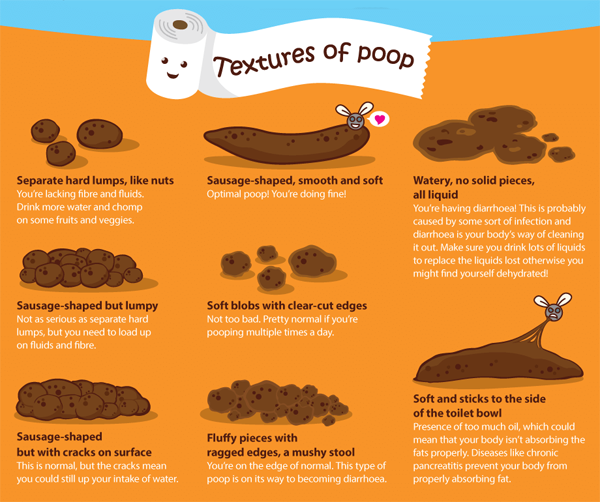 Kawasan Lynn Damya: Know Your Shit & Urine