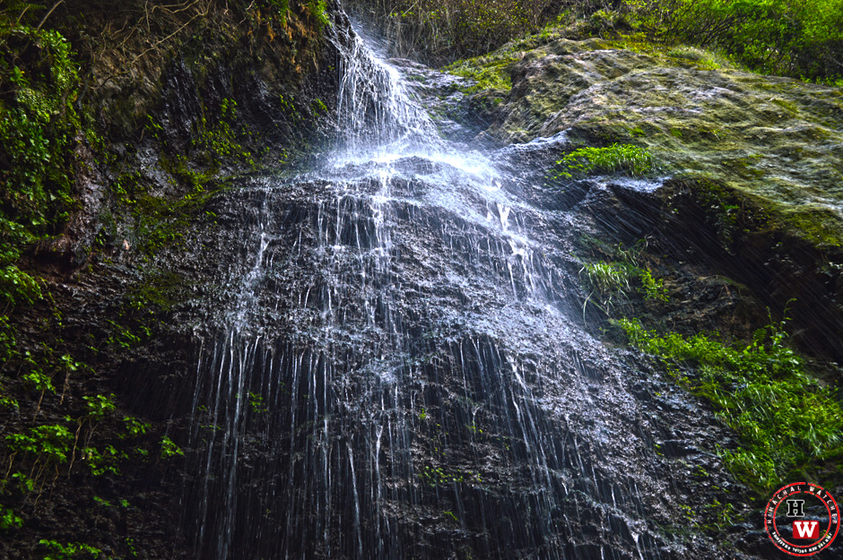 A fresh look at Shimla’s popular Chadwick Falls . ~ Himachal Tourism