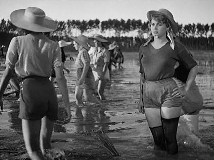 ‘Riso Amaro’ (Arroz Amargo): Um clássico do Neorrealismo que transformou Silvana Mangano em ...