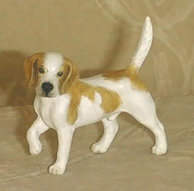 Lemon Spotted Beagle | Dog Beagles