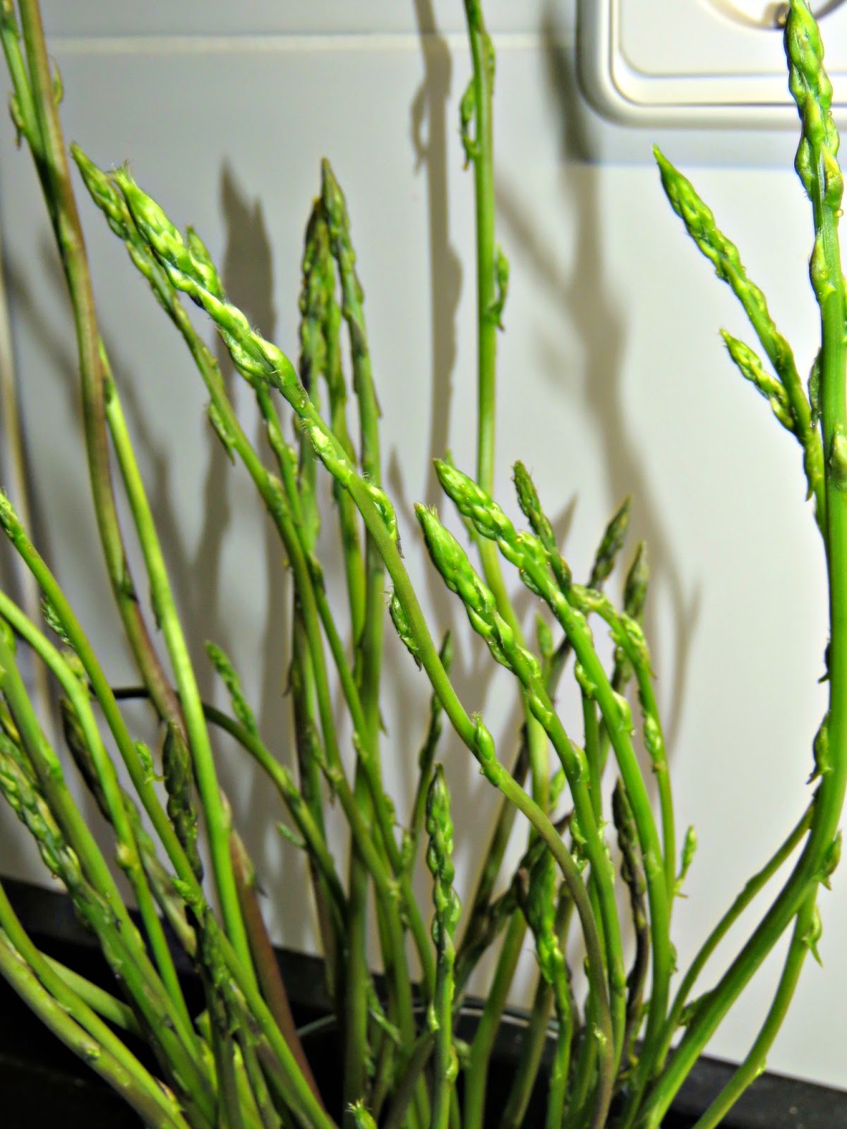 just saying ...: Wild Asparagus tortilla ...