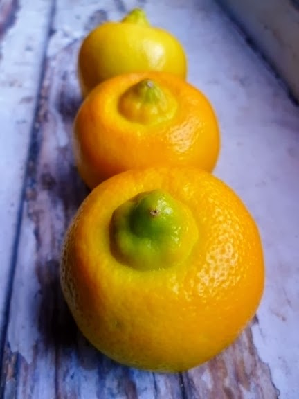 Marmaduke Scarlet: when is a lemon a cartoon villain? when it's citron ...