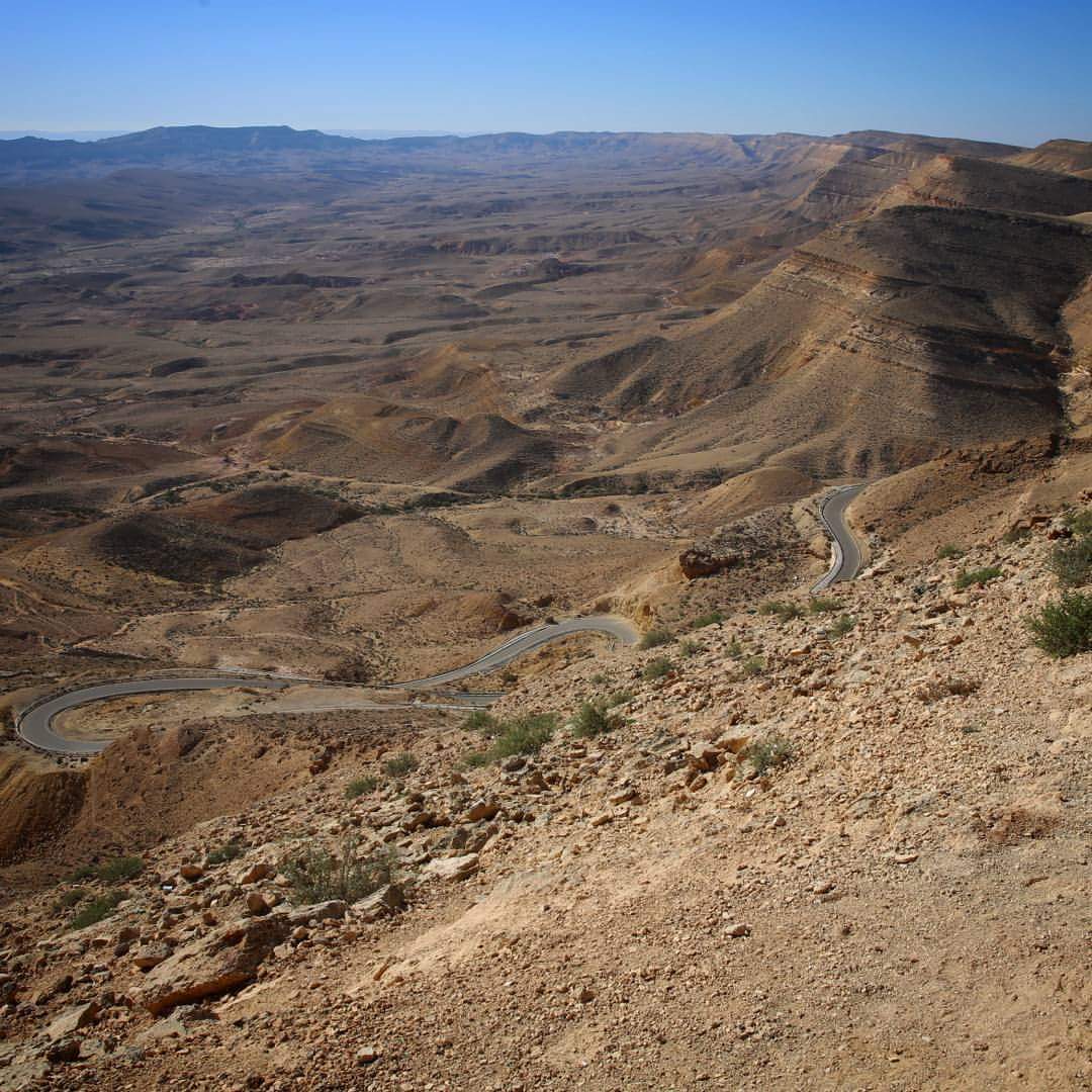 Apunts de Viatge: NEGUEV, EL DESIERTO DE ISRAEL