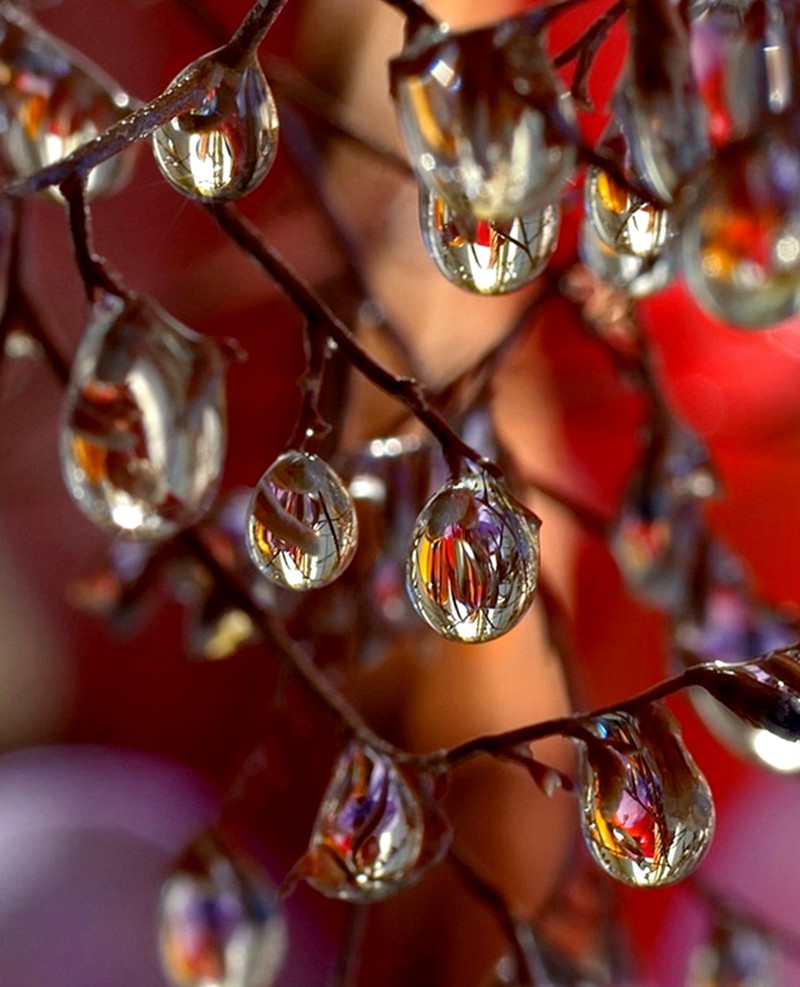 Best WallPapers: Colourful Raindrops Wallpapers