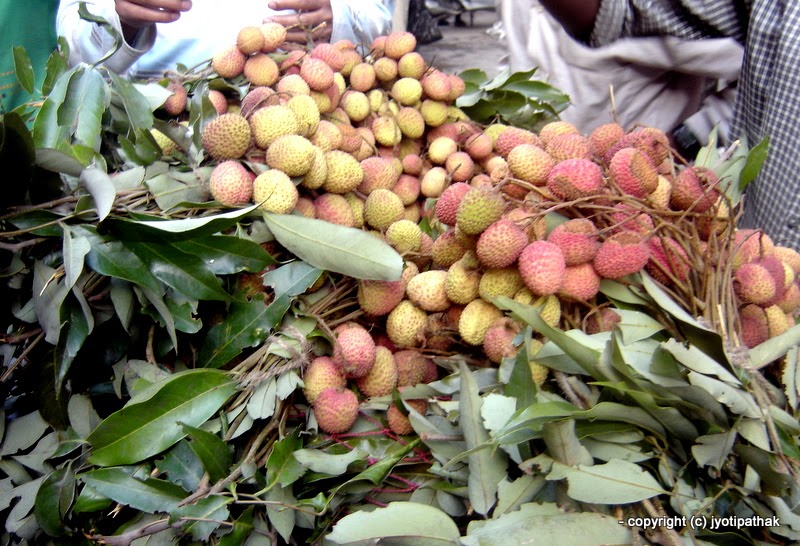 Taste of Nepal: Glossary of Common Fruits of Nepal (English-Nepali ...