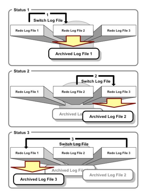 Database Info.: Archive Log