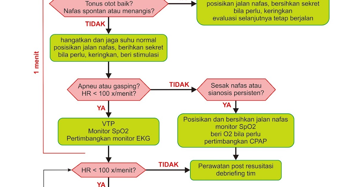 Resusitasi Neonatus (algorithm update from AHA 2015)