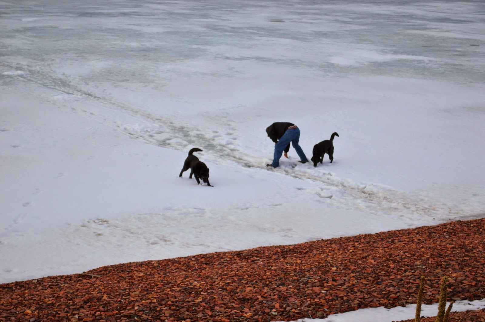 Lake De Smet and the Monster that Lies Beneath... | The Walking Stick