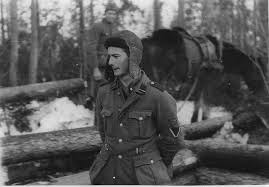 Armour force / Panssaroitu voima : 6th SS Mountain Division Nord