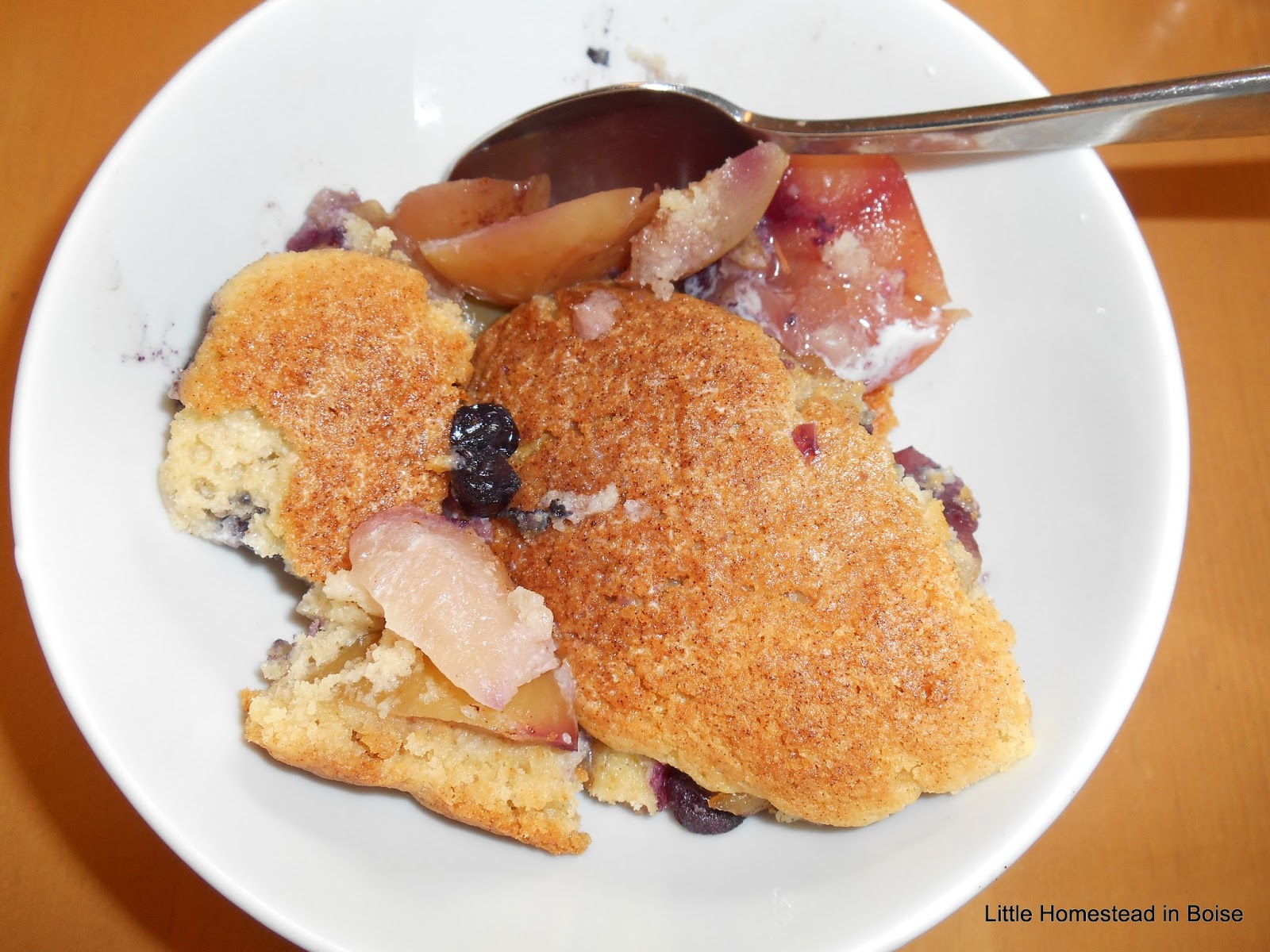 Little Homestead In Boise : Spring Clean Up Has Begun, Frugal Beef ...