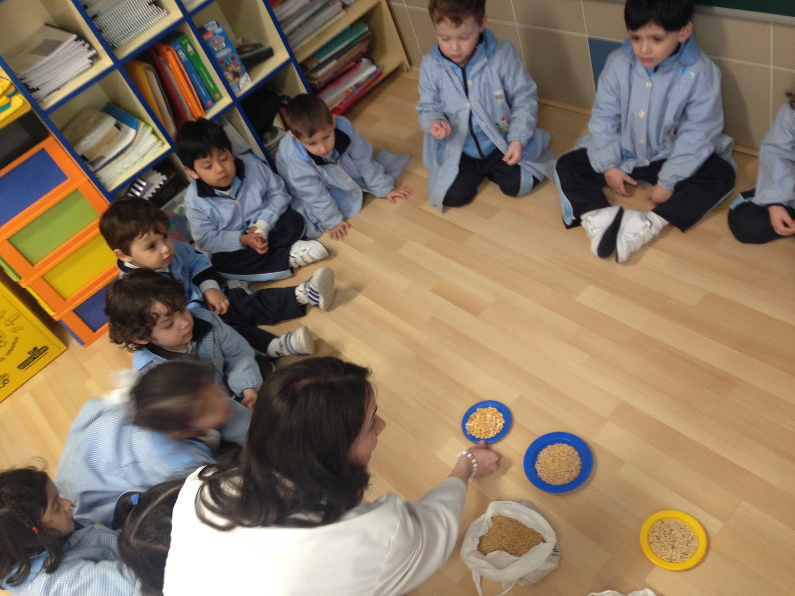 El TIC tac de infantil: ¿Qué come el pollito?